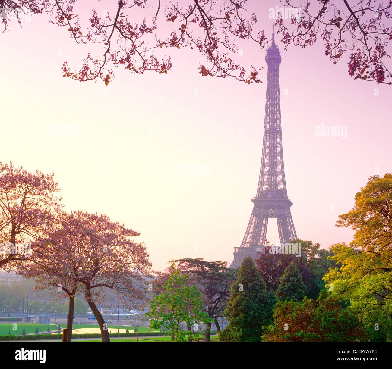 France, Paris, Eiffel Tower, dawn, spring Stock Photo - Alamy