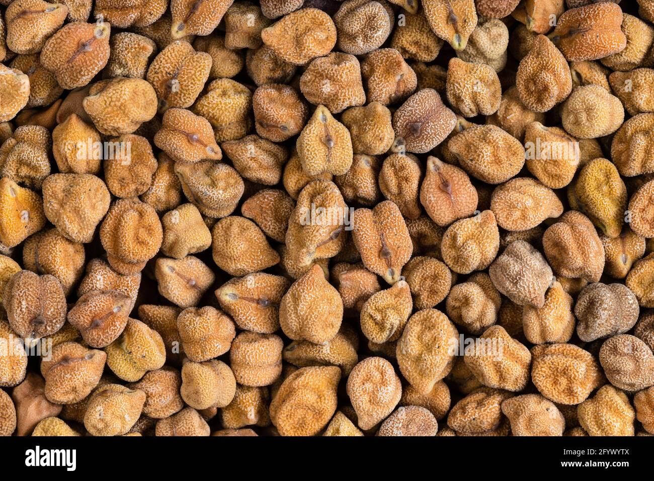 food background - many raw black chickpeas close up Stock Photo - Alamy