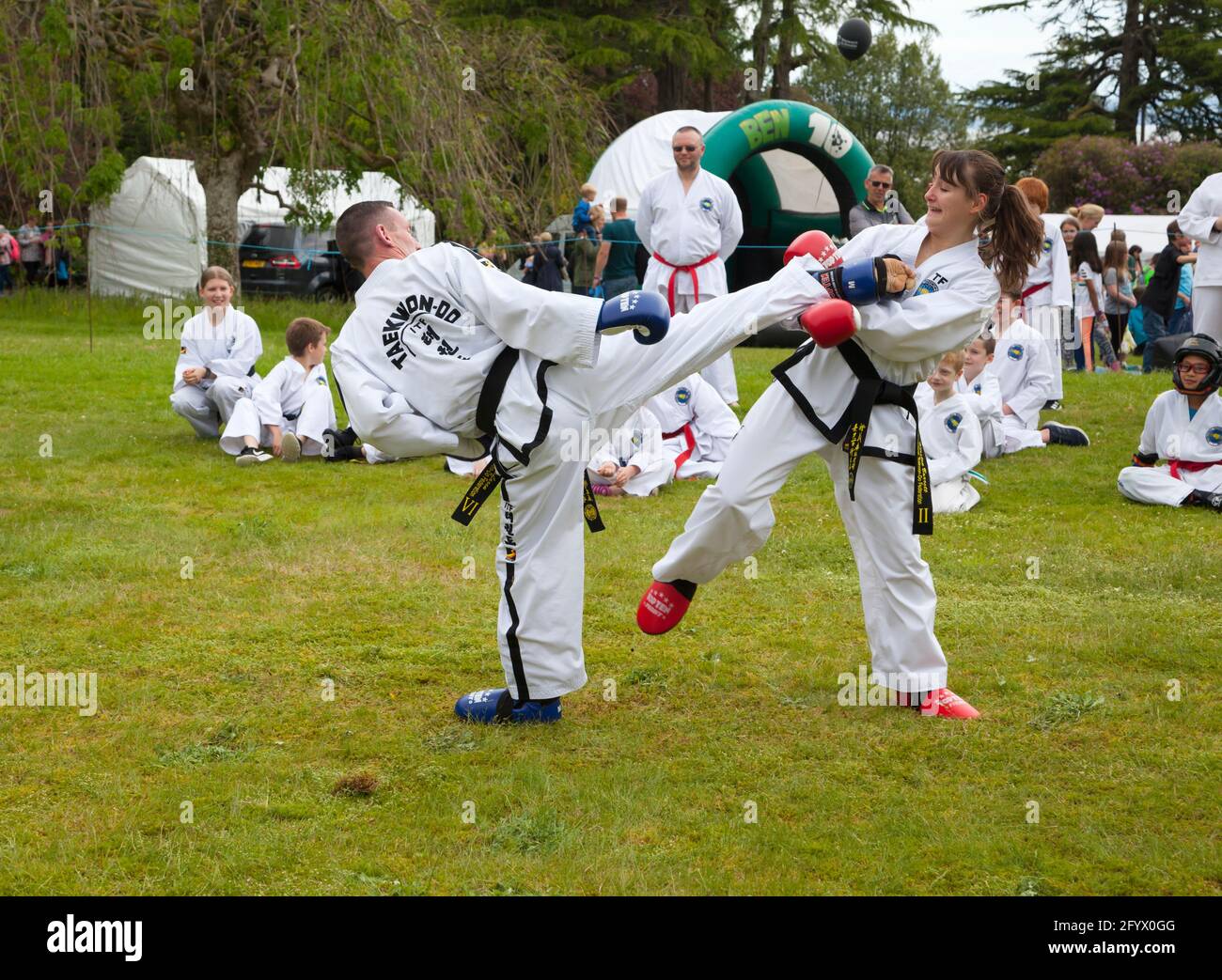 Sports club tae kwon do hi-res stock photography and images - Alamy