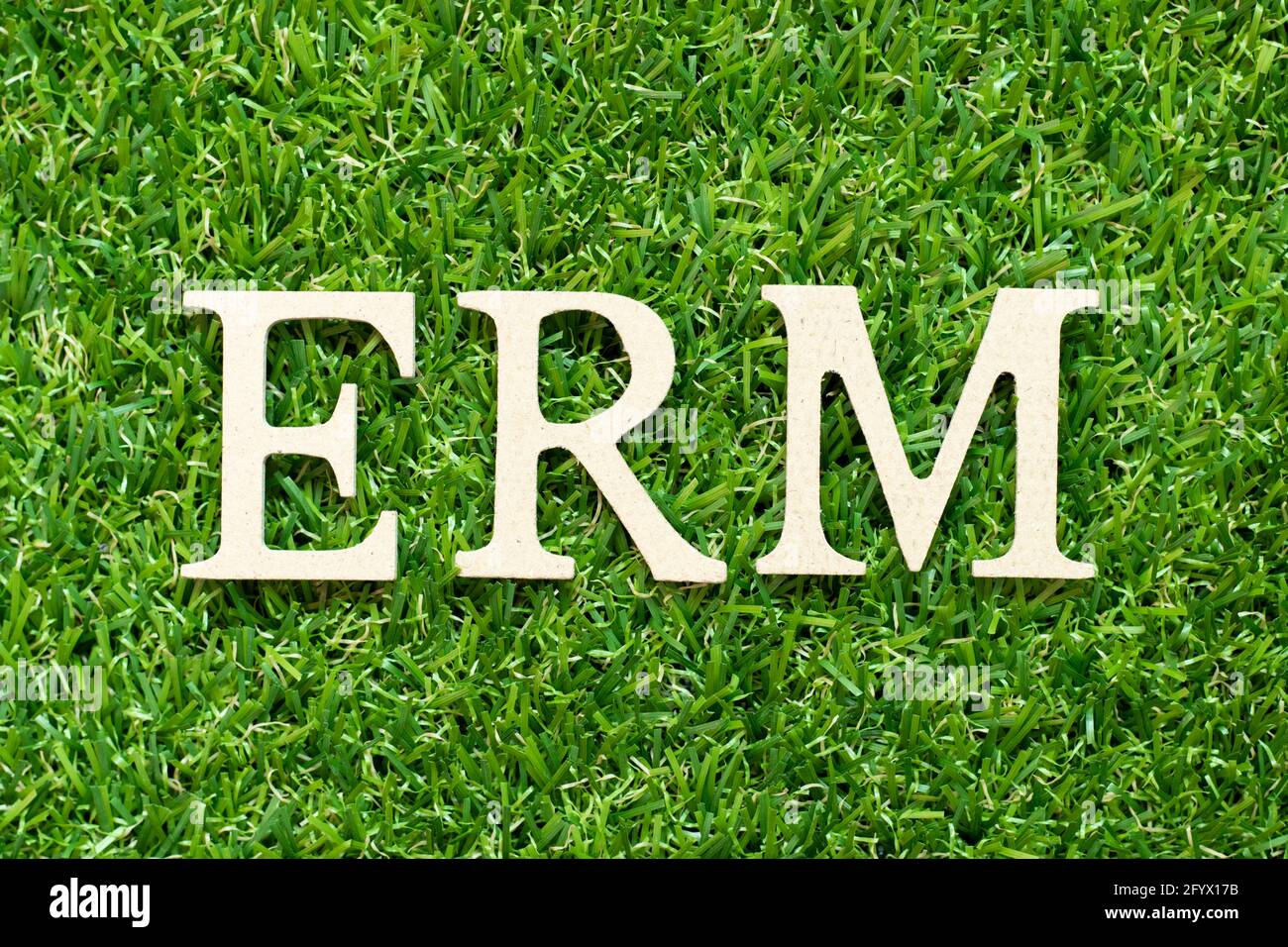 Alphabet letter in word ERM (Abbreviation of Enterprise risk management ...