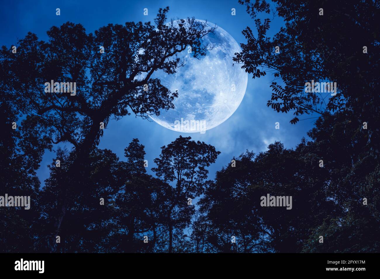 Beautiful Full Moon With Trees Pin By Jochanan Magister On Hezký