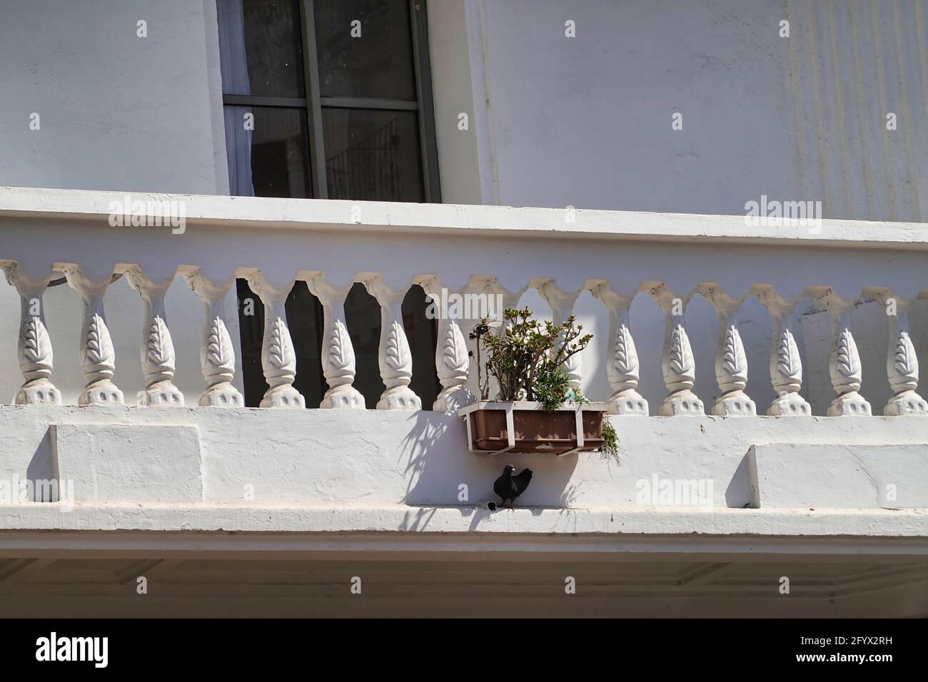the beautiful white balcony with patterned balustrade and flowerpot ...
