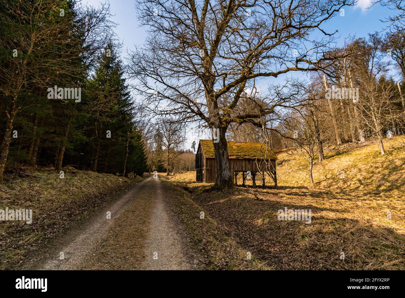 Prince hunting wild boar hi-res stock photography and images - Alamy