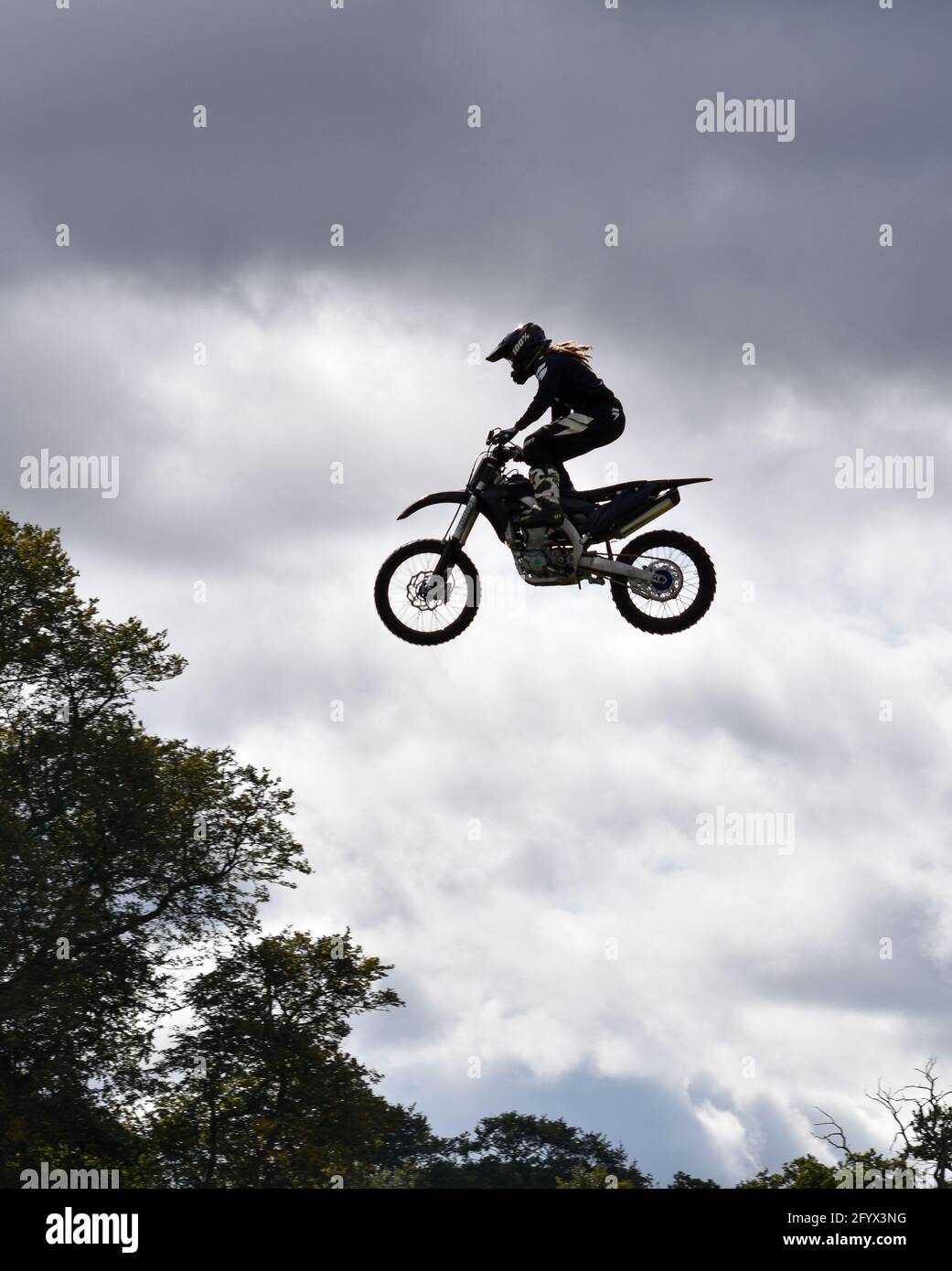 Midlands Game Fair including animals, shows, sky divers and much more ...