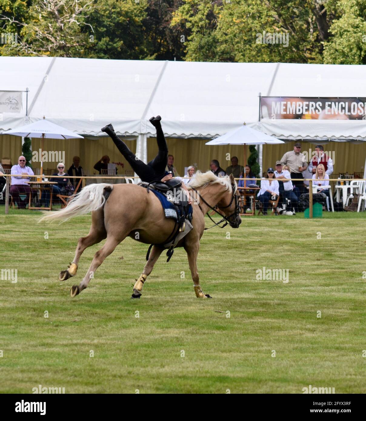 Midlands Game Fair including animals, shows, sky divers and much more ...