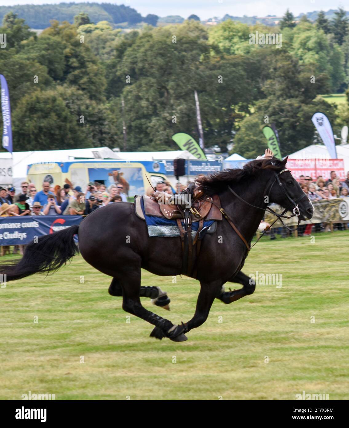 Midlands Game Fair including animals, shows, sky divers and much more ...