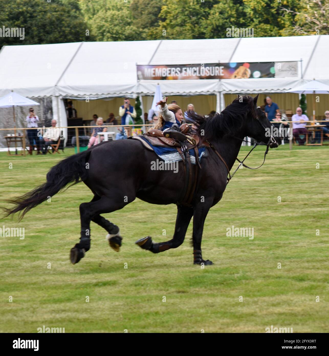Midlands Game Fair including animals, shows, sky divers and much more ...