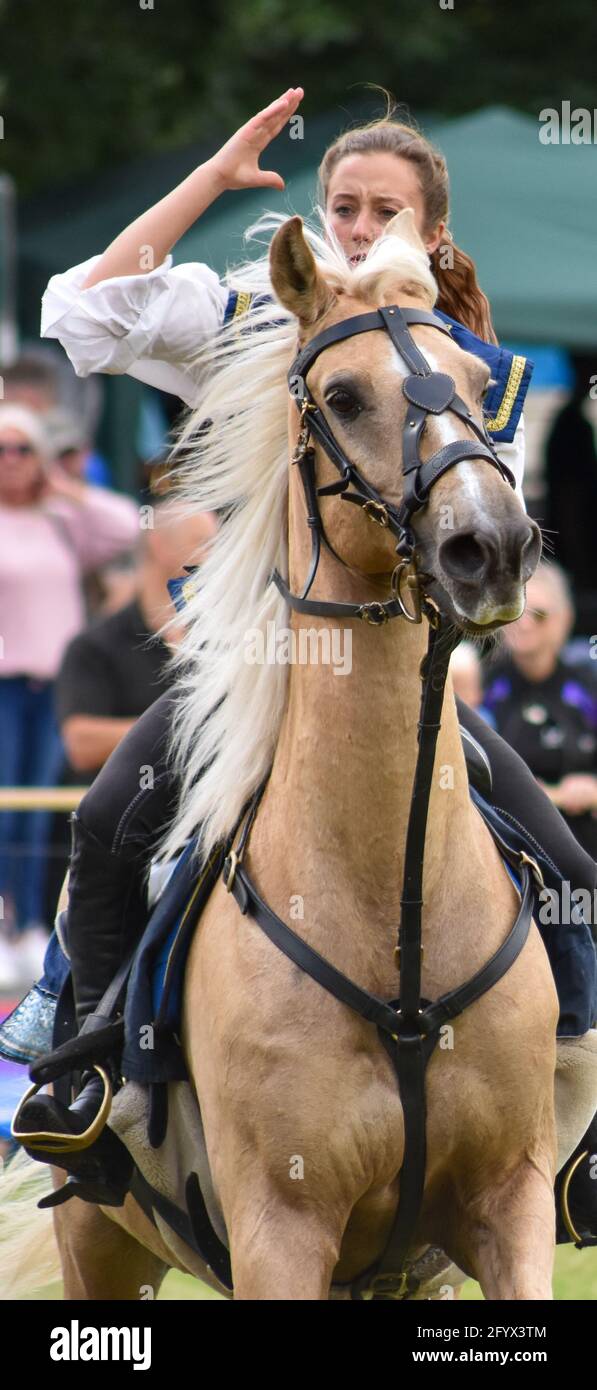 Midlands Game Fair including animals, shows, sky divers and much more ...