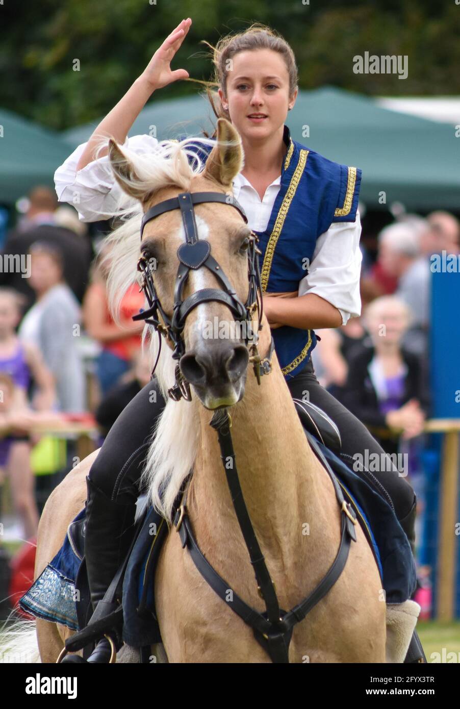 Midlands Game Fair including animals, shows, sky divers and much more ...