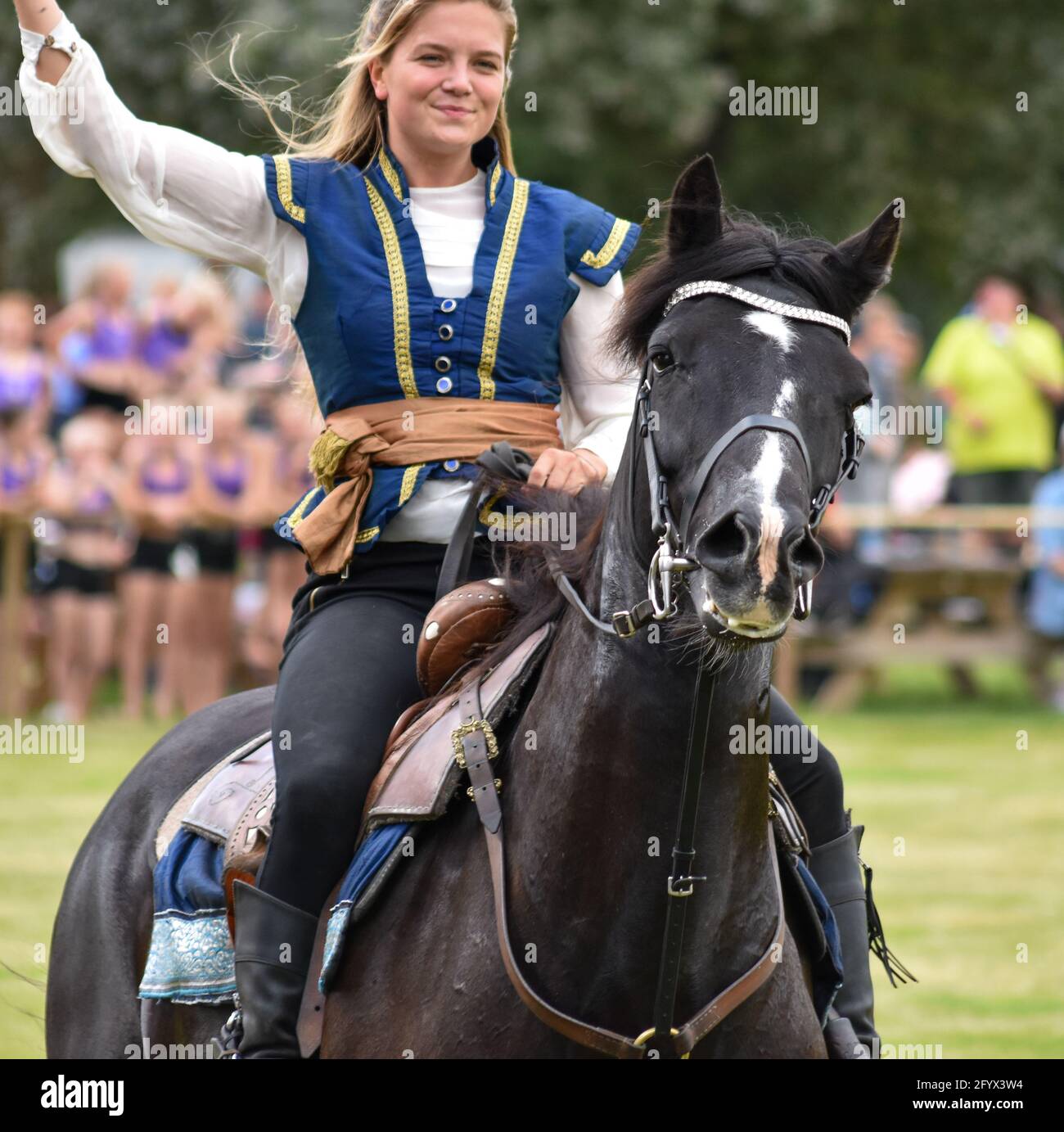 Midlands Game Fair including animals, shows, sky divers and much more ...