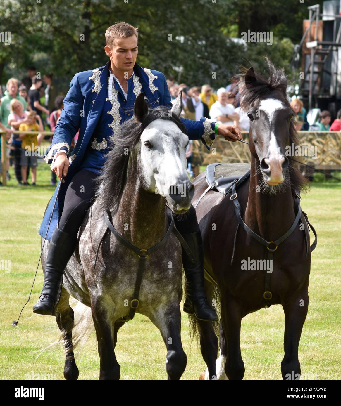 Midlands Game Fair including animals, shows, sky divers and much more ...