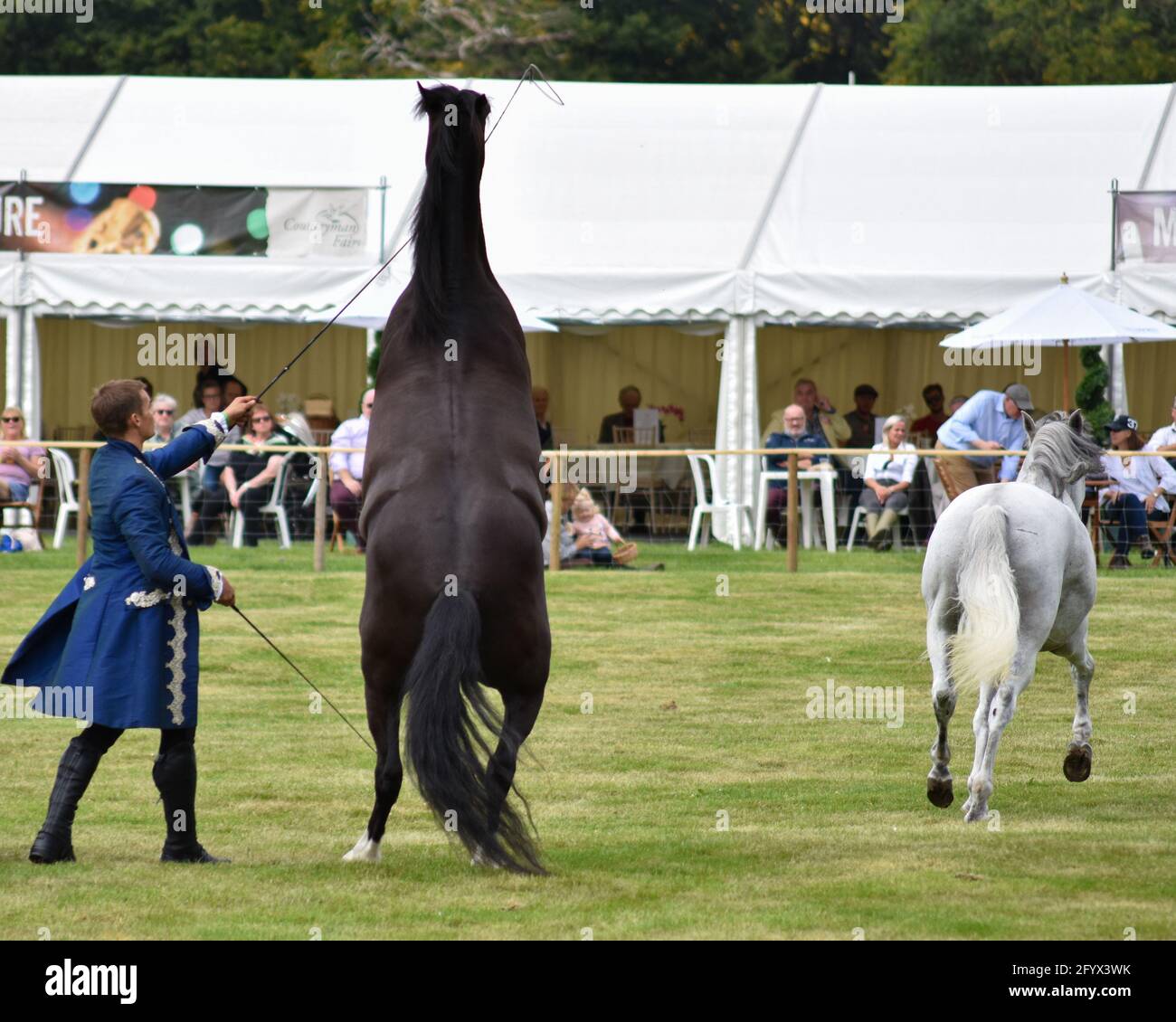 Midlands Game Fair including animals, shows, sky divers and much more ...