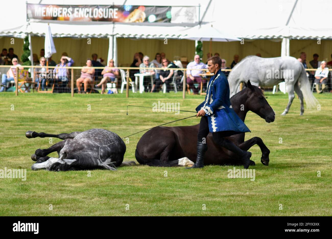 Midlands Game Fair including animals, shows, sky divers and much more ...
