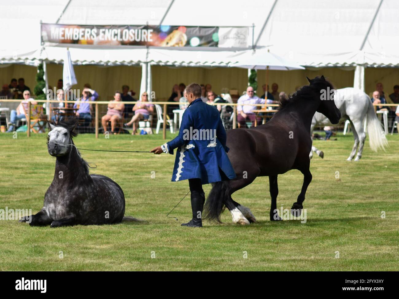 Midlands Game Fair including animals, shows, sky divers and much more ...