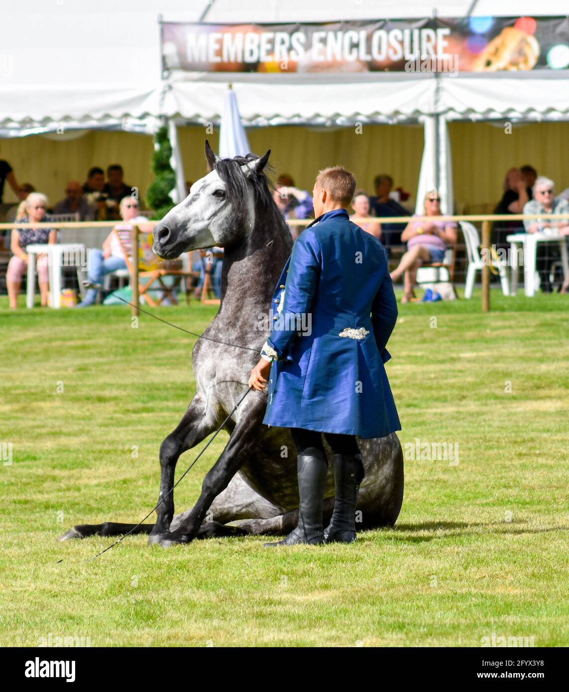 Midlands Game Fair including animals, shows, sky divers and much more ...