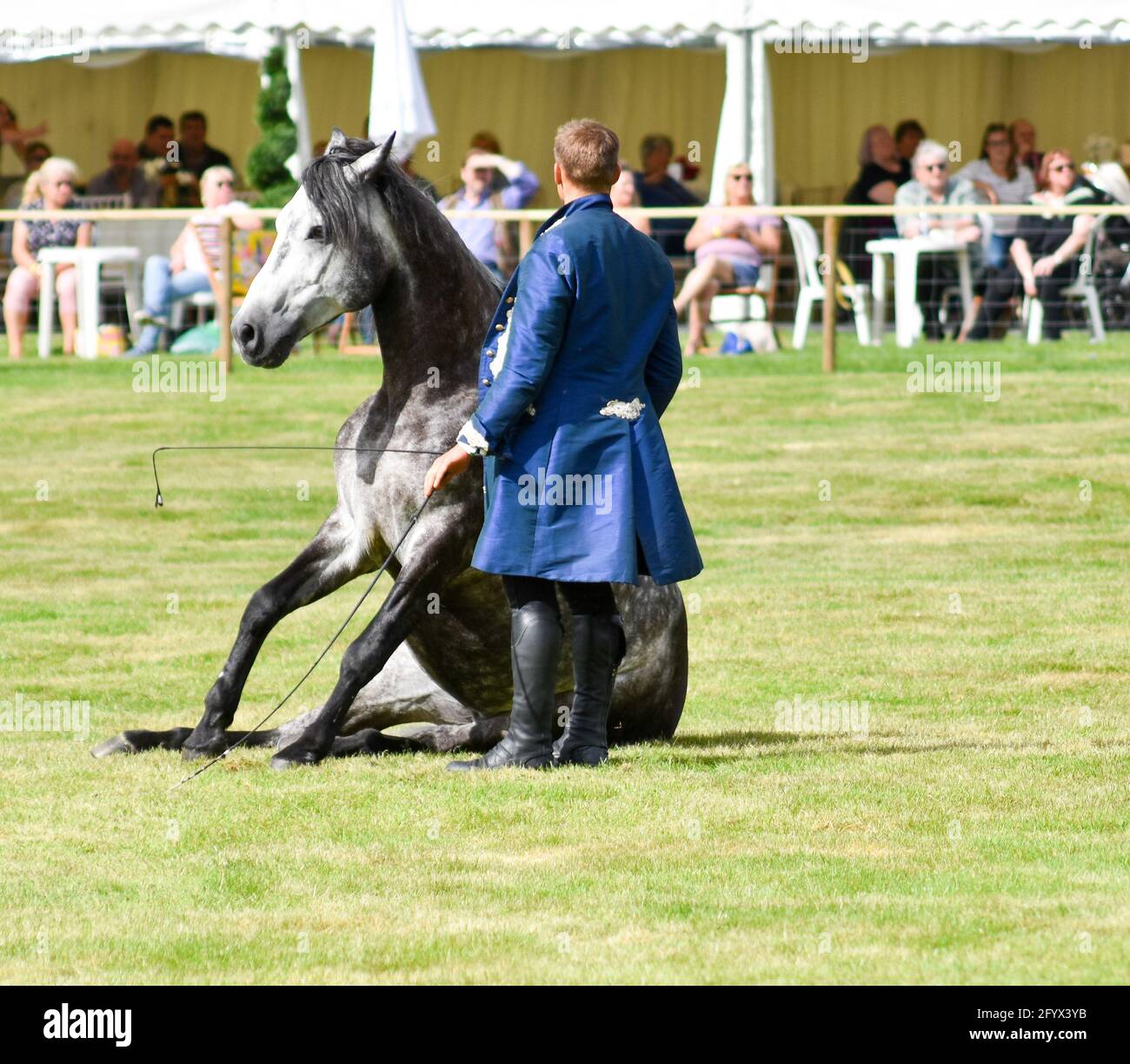 Midlands Game Fair including animals, shows, sky divers and much more ...