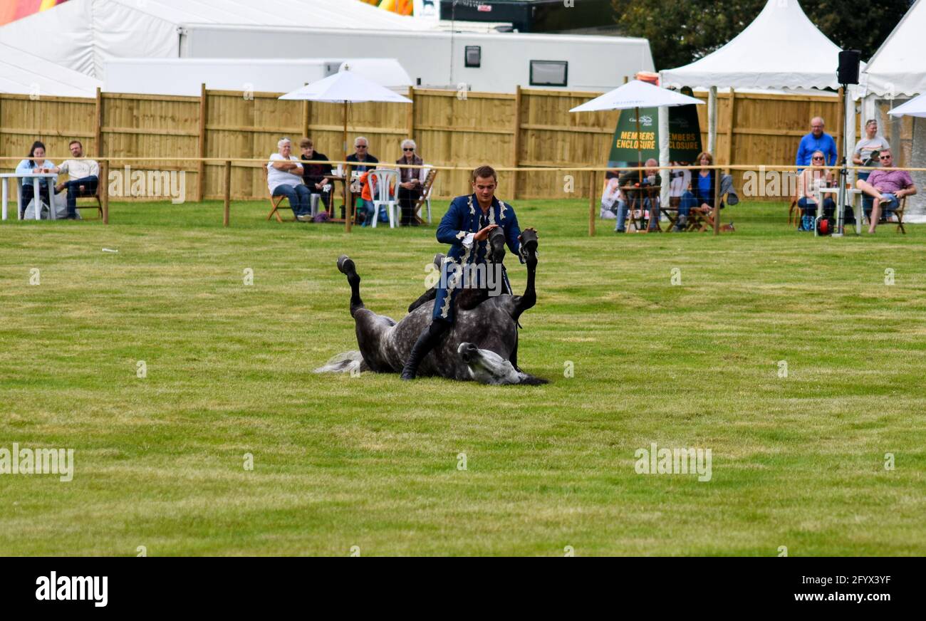 Midlands Game Fair including animals, shows, sky divers and much more ...