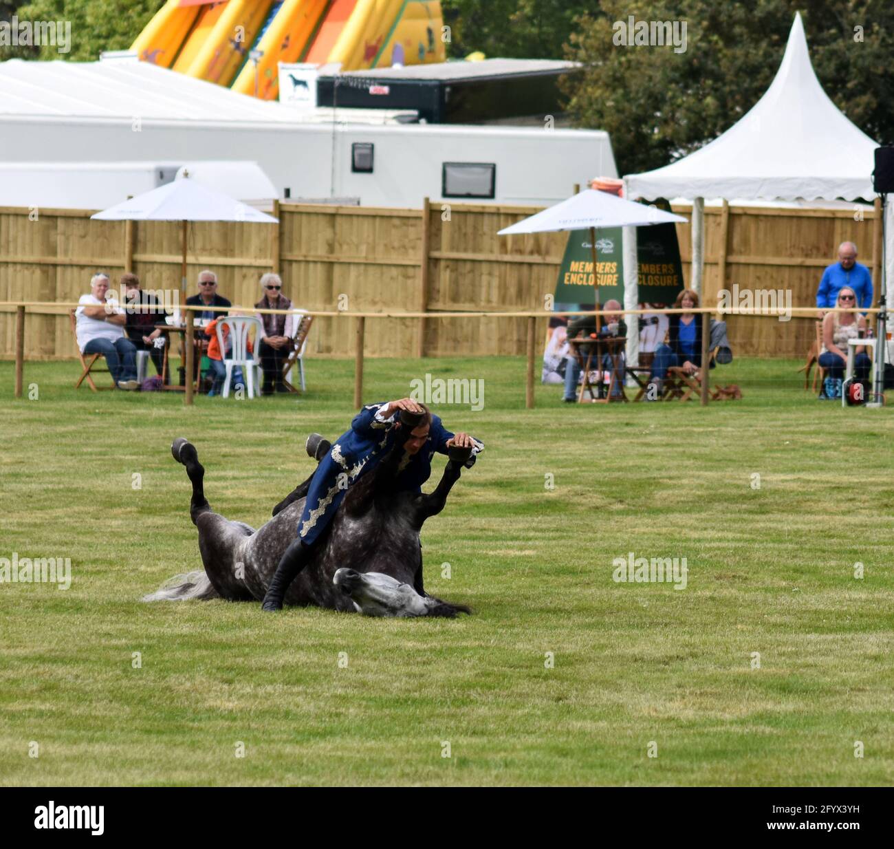 Midlands Game Fair including animals, shows, sky divers and much more ...