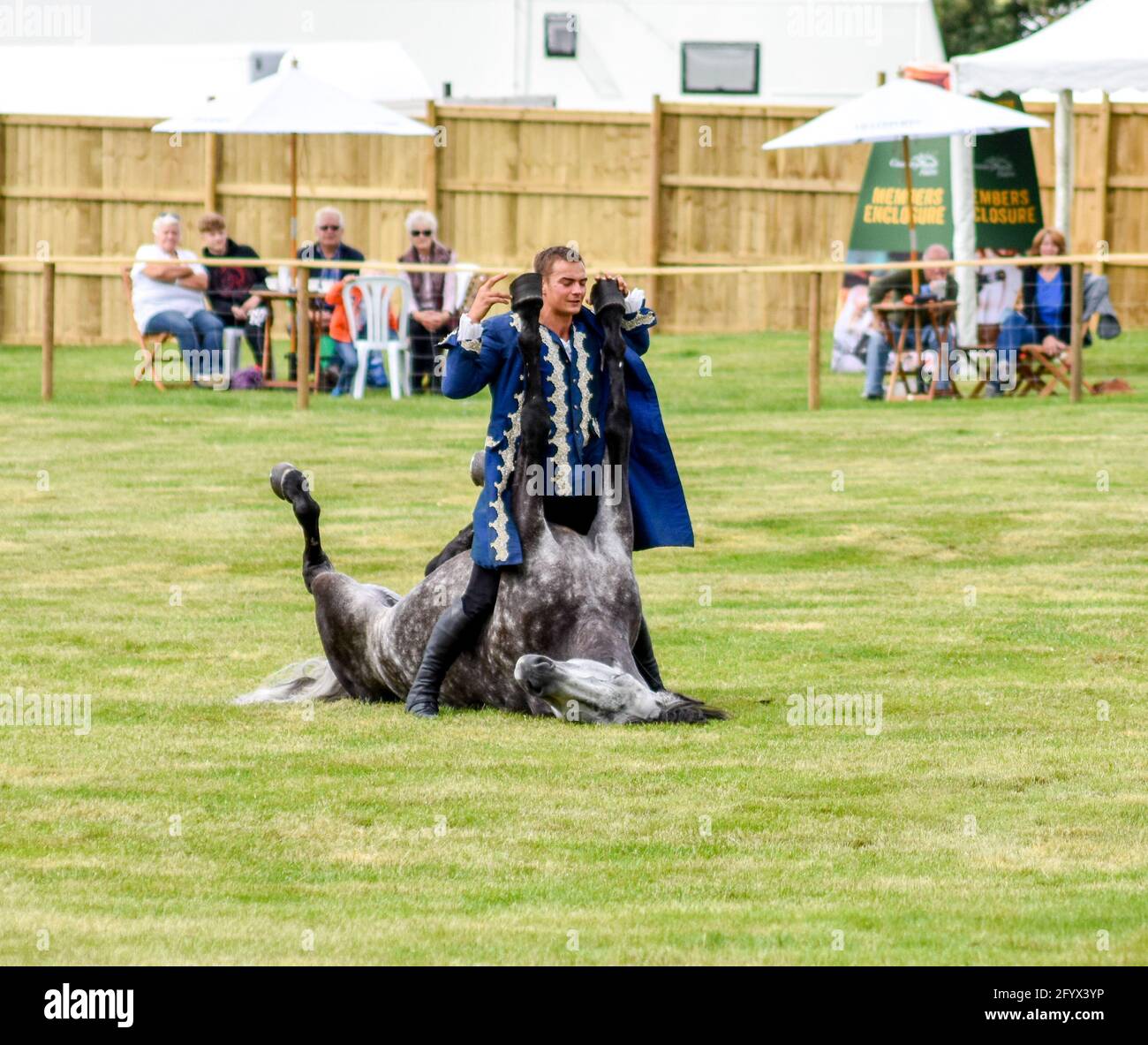Midlands Game Fair including animals, shows, sky divers and much more ...