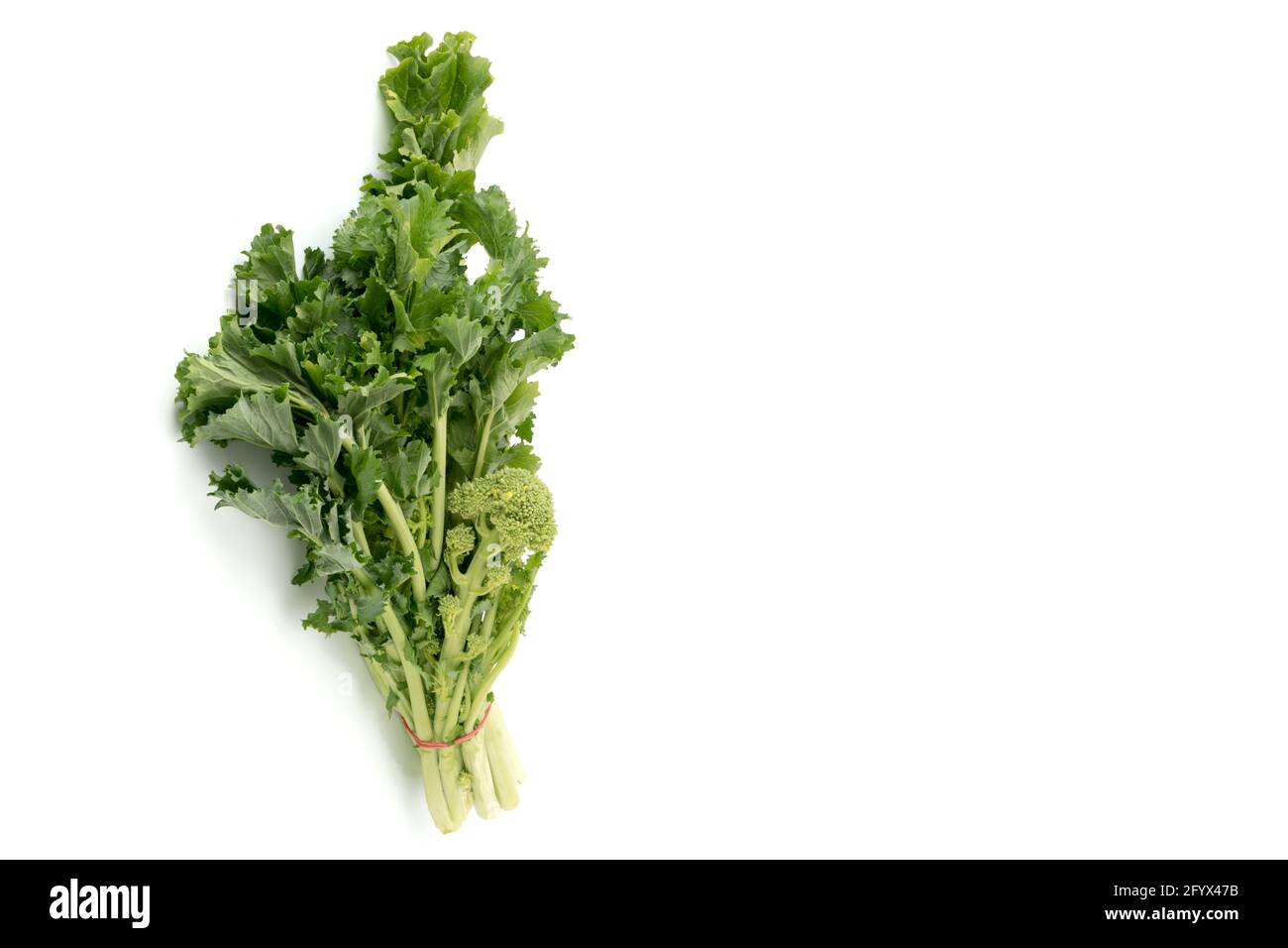Bunch of fresh turnip tops , italian cime di rapa, isolated on white ...