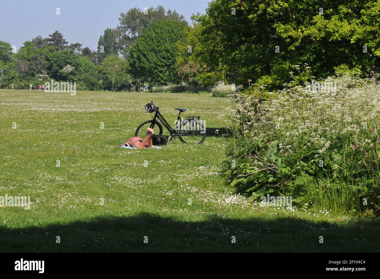 Copenhagen, Denmark. 30 May 2021, People walk and sun bath on Amager ...