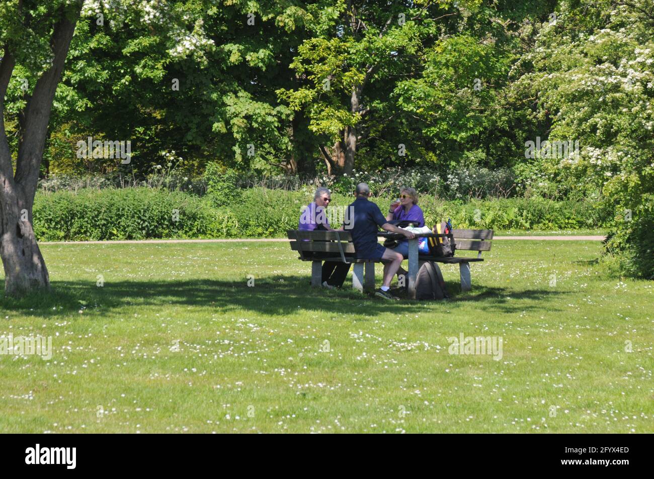 Copenhagen, Denmark. 30 May 2021, People walk and sun bath on Amager ...