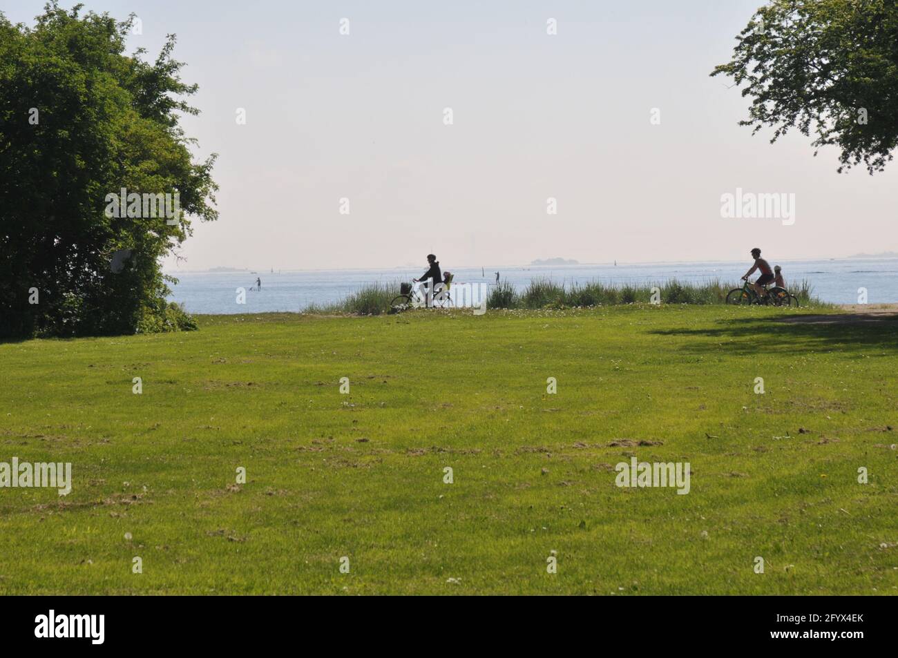 Copenhagen, Denmark. 30 May 2021, People walk and sun bath on Amager ...