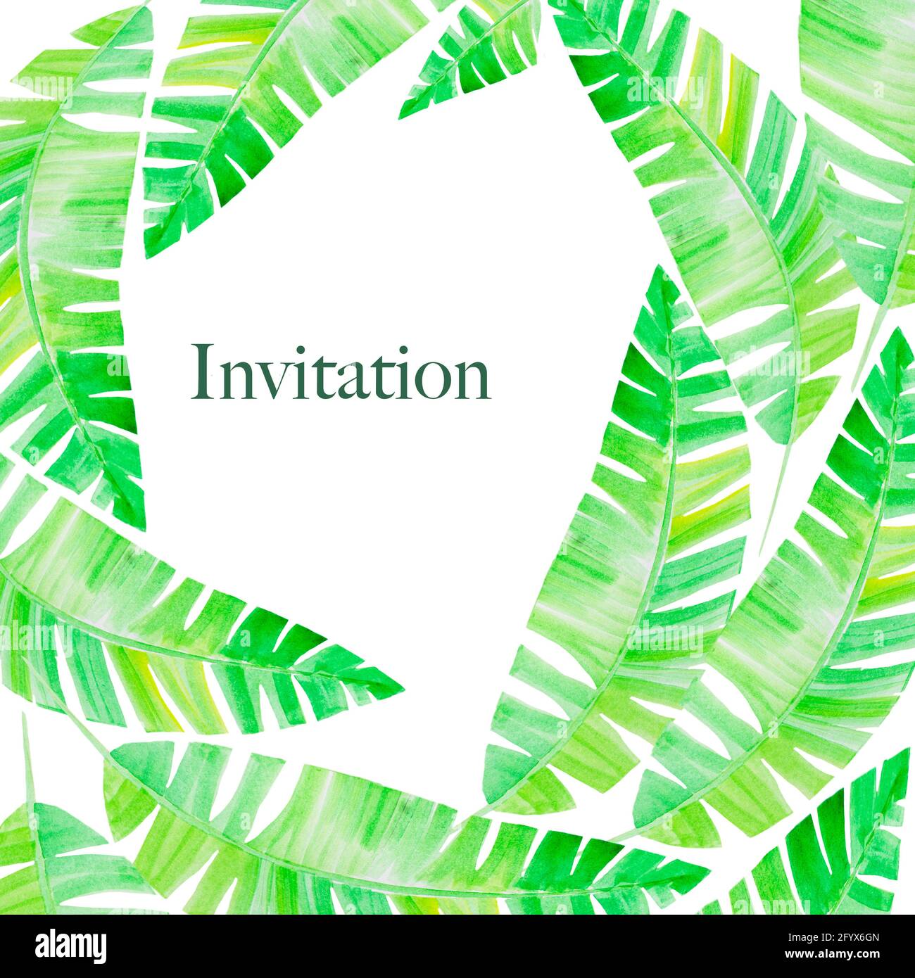 Watercolor rainforest hi-res stock photography and images - Alamy