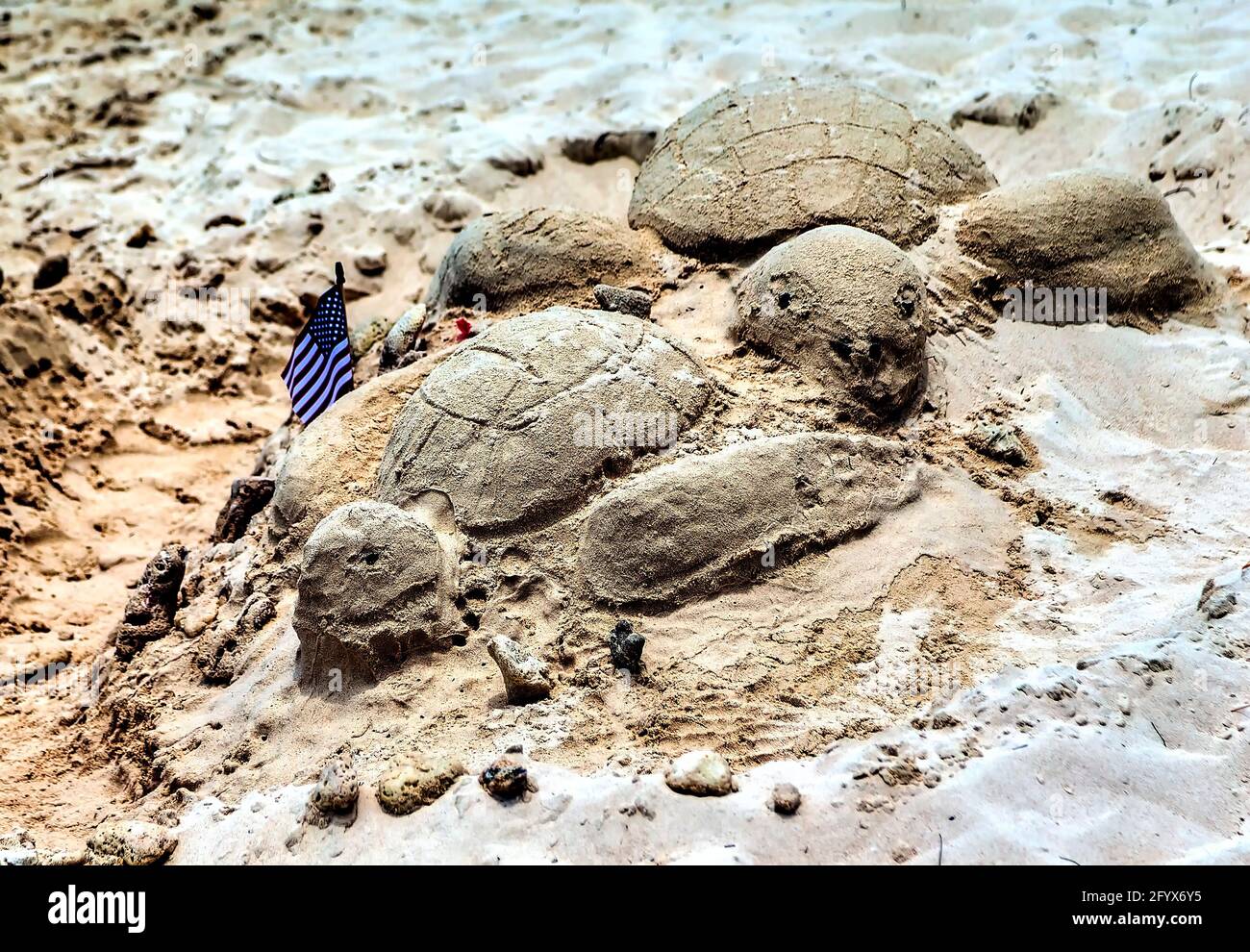 Turtle flag hi-res stock photography and images - Alamy