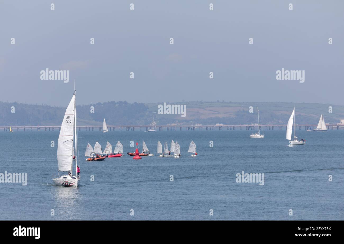 Optimist sailing fleet hi-res stock photography and images - Alamy