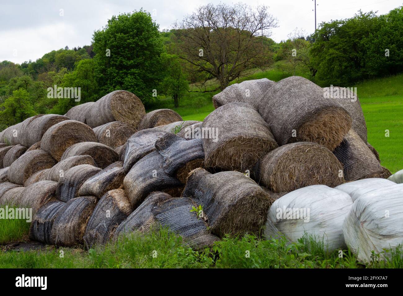 Mesh wrapped bales hi-res stock photography and images - Alamy