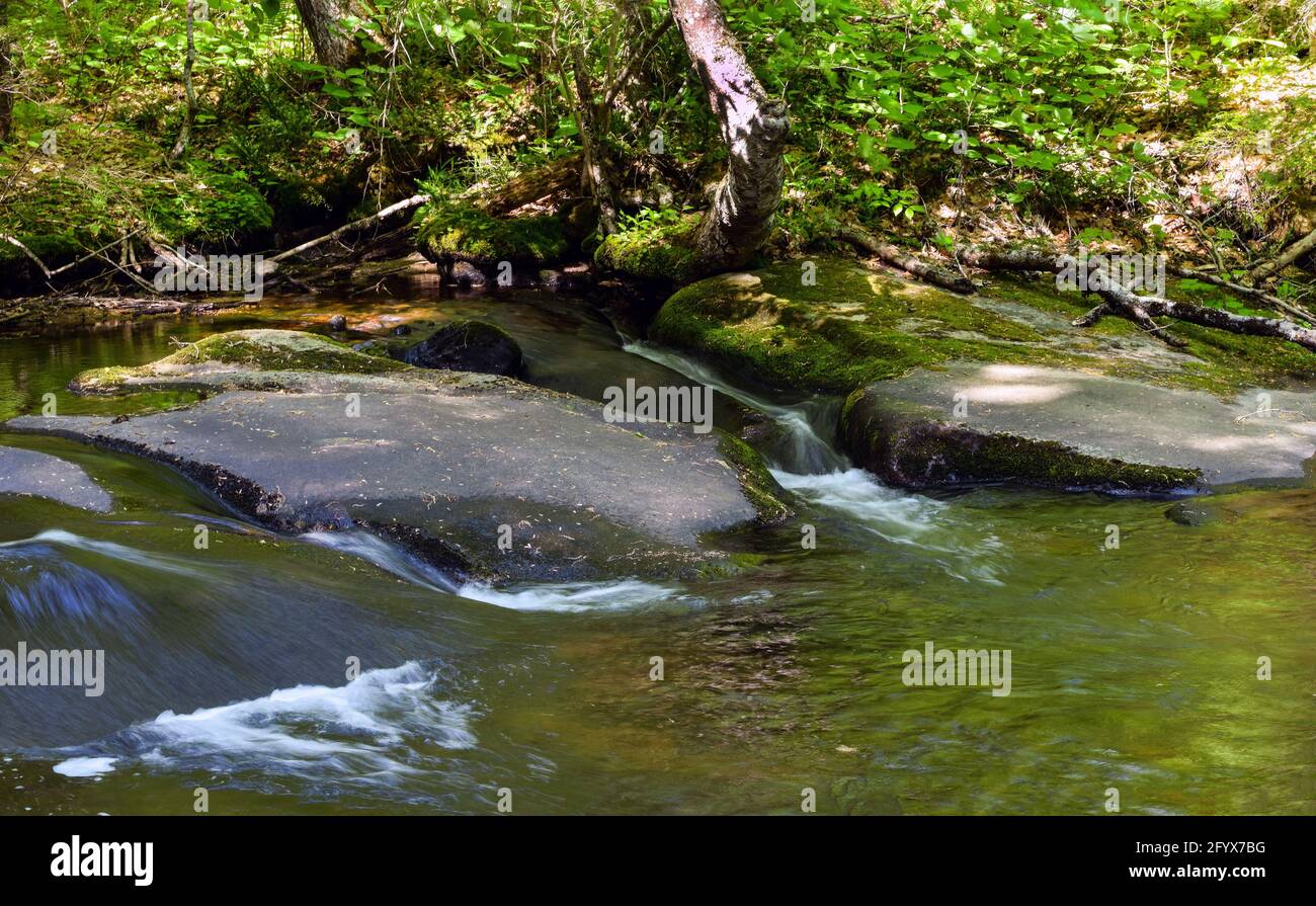 water flowing through a stream in willard brook state park Stock Photo ...