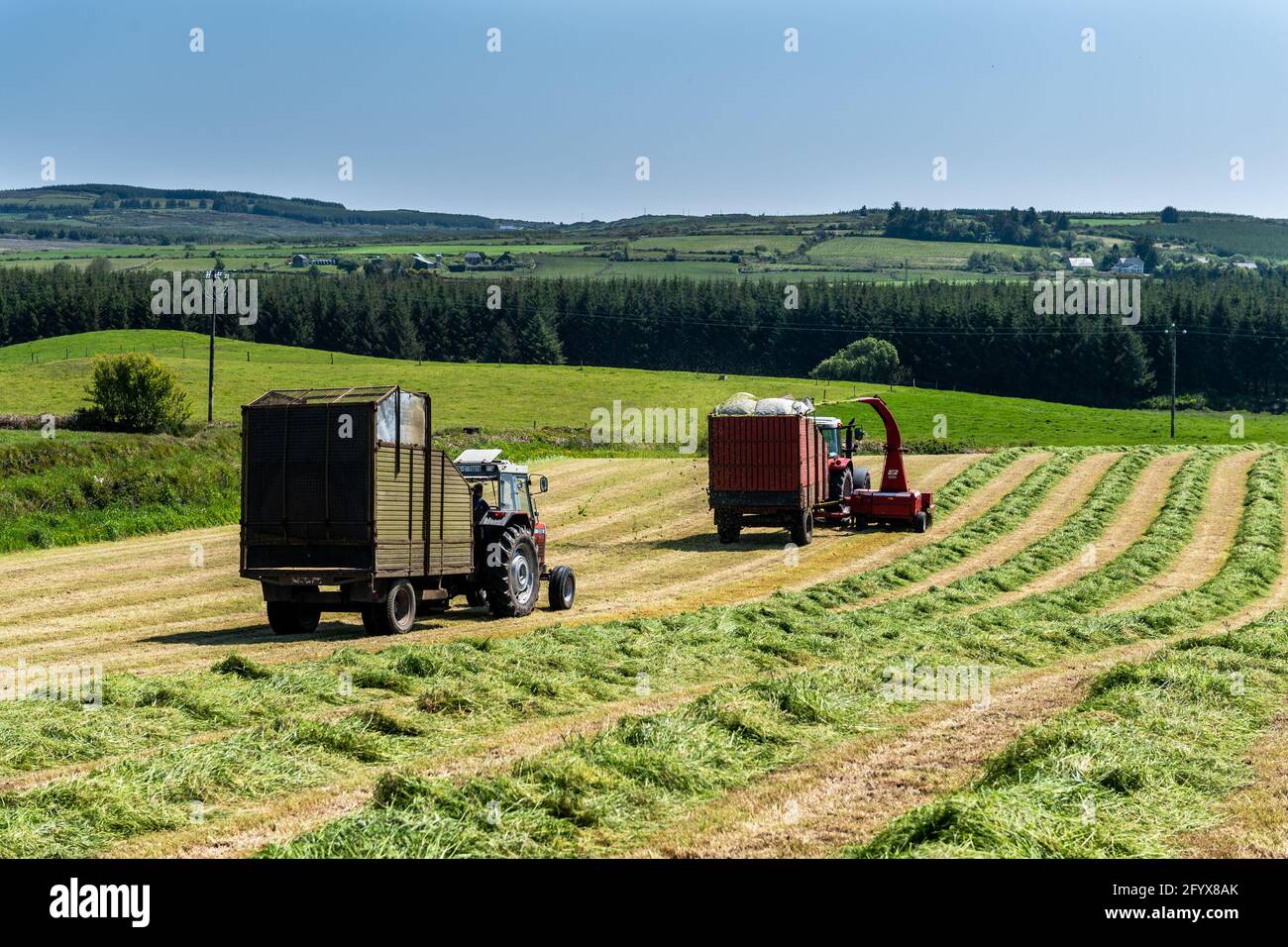 Drinagh, West Cork, Ireland. 30th May, 2021. On a very sunny day in ...