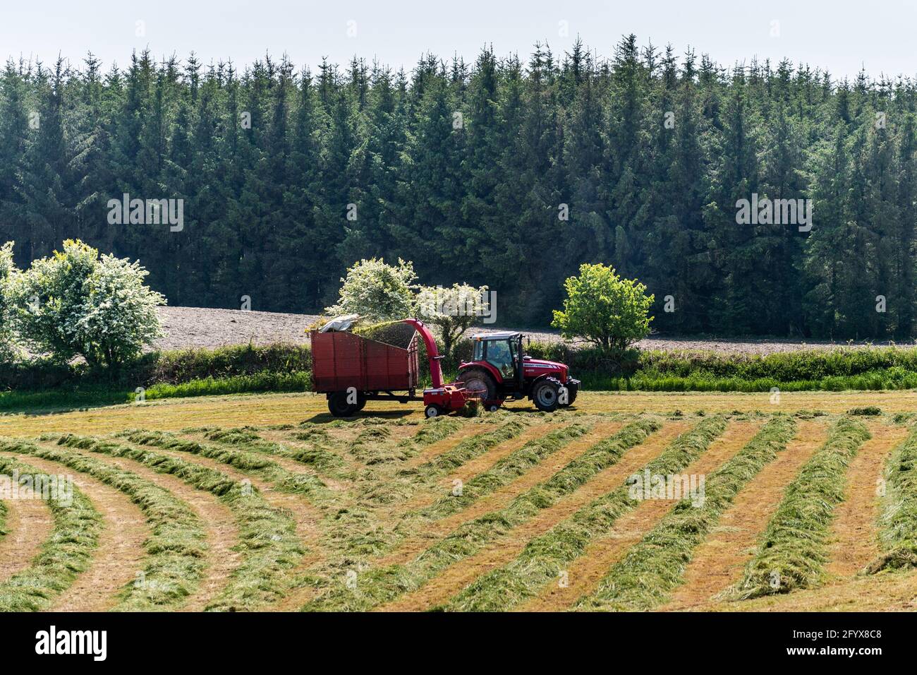 First sunshine harvester hi-res stock photography and images - Alamy