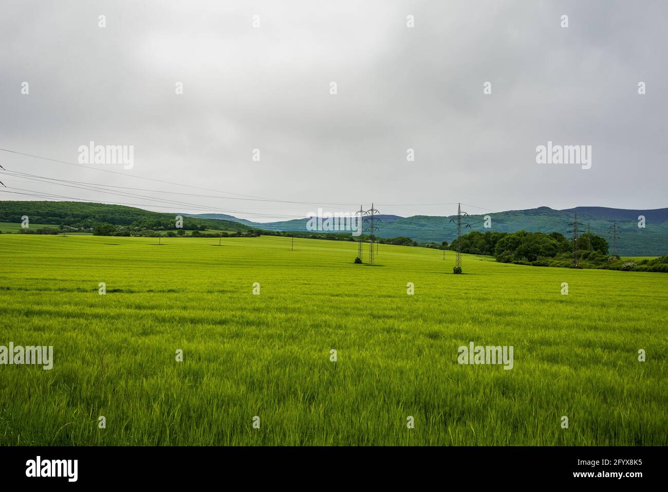 Electric power poles plant hi-res stock photography and images - Alamy