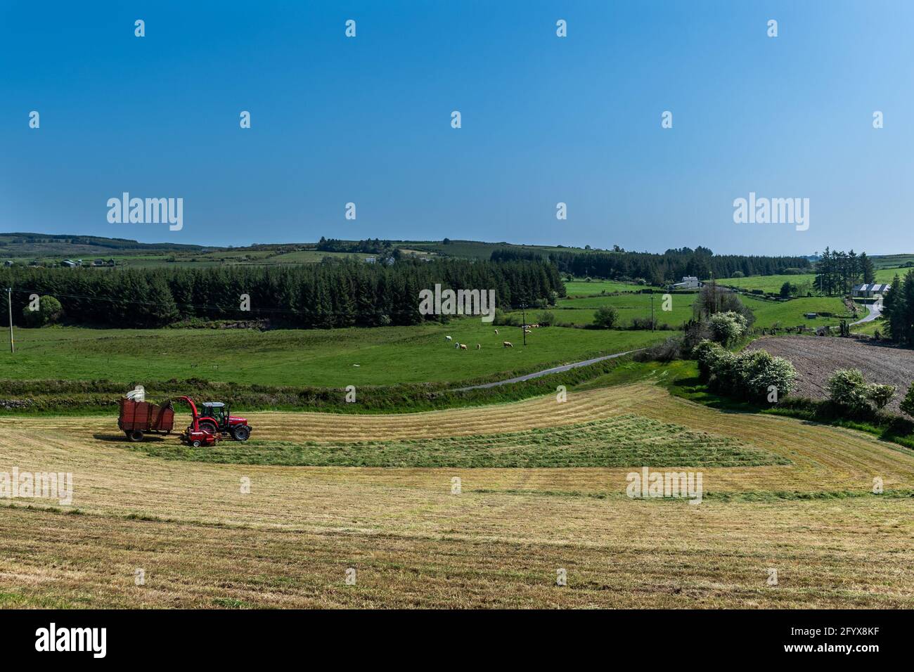 Drinagh, West Cork, Ireland. 30th May, 2021. On a very sunny day in ...