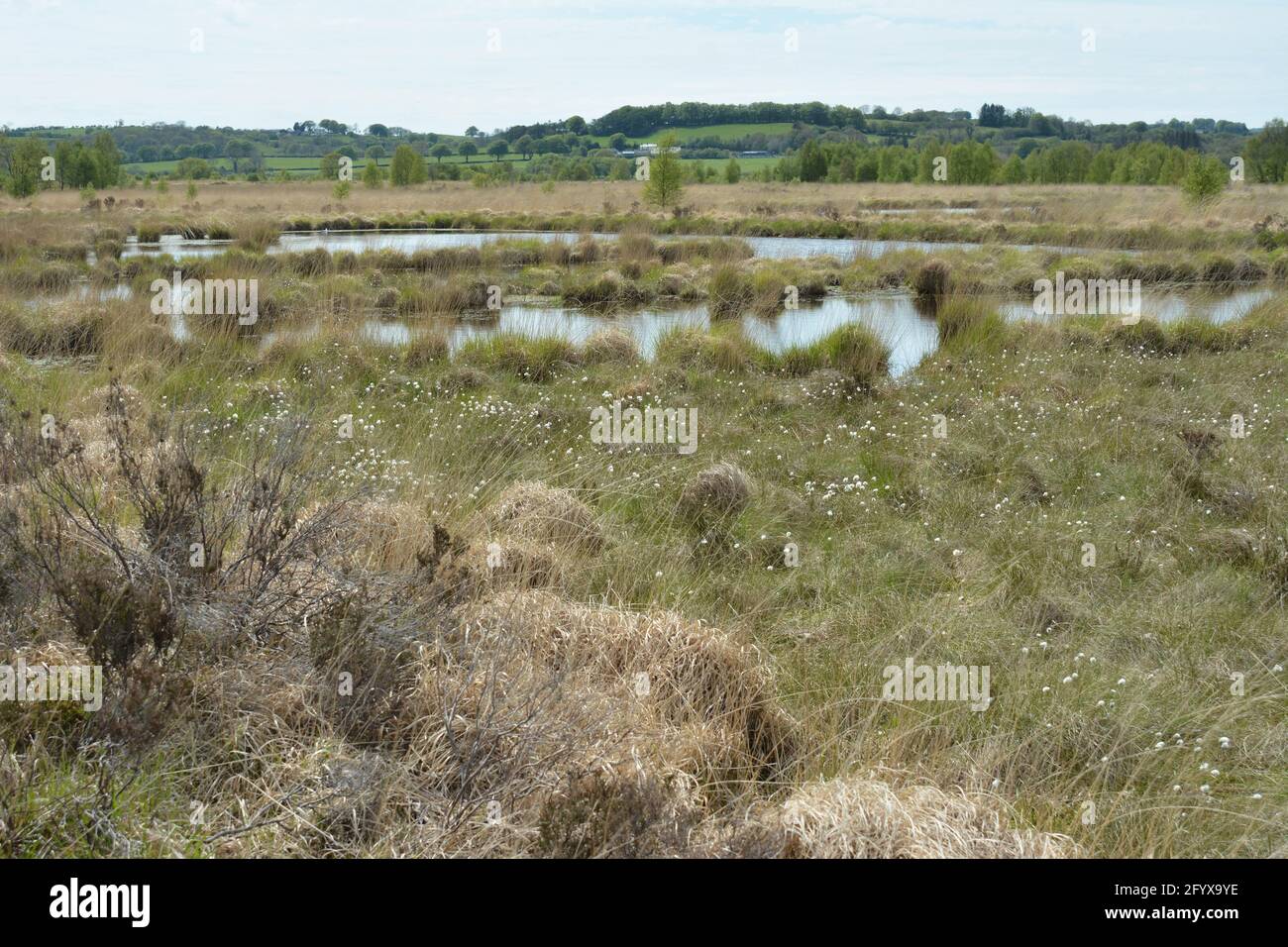 Tregaron hi-res stock photography and images - Alamy