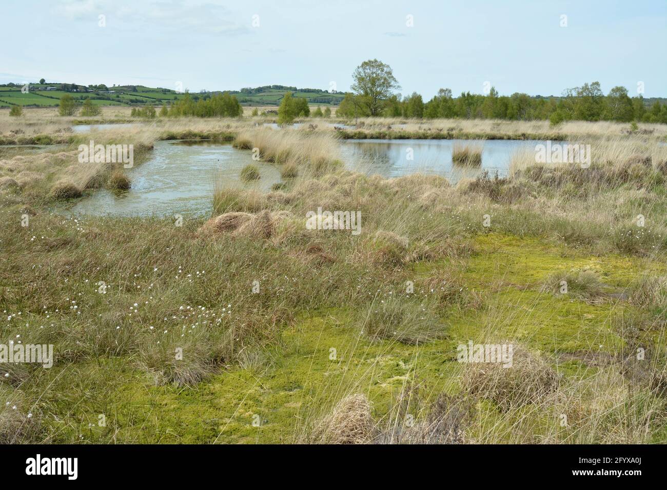 Cors caron wetland nature reserve hi-res stock photography and images ...