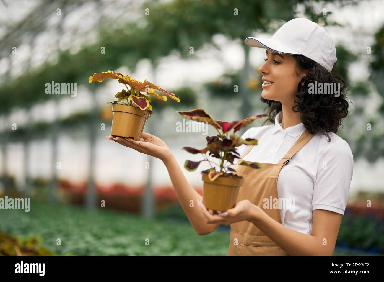 Happy young woman with dark curly hair holding in two hands flower pots ...