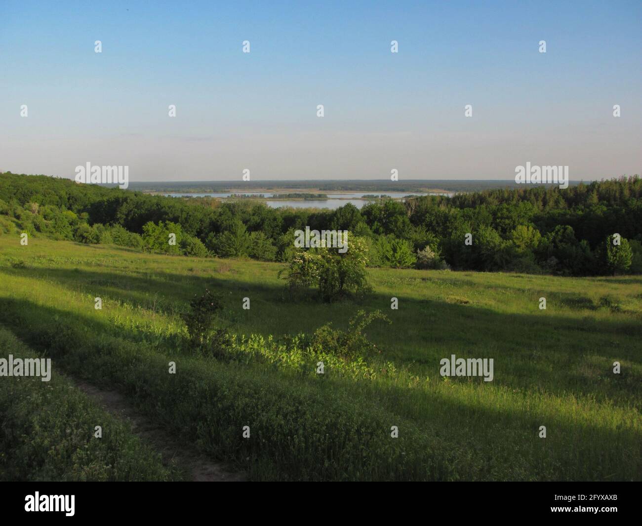 landscape: green trees and a river far away Stock Photo - Alamy