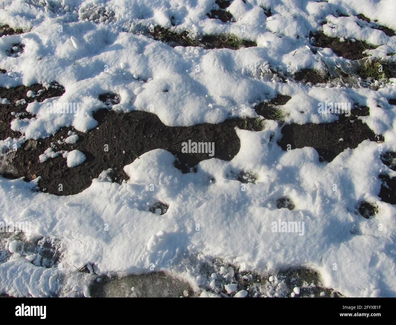 Background: muddy spring melting snow Stock Photo - Alamy