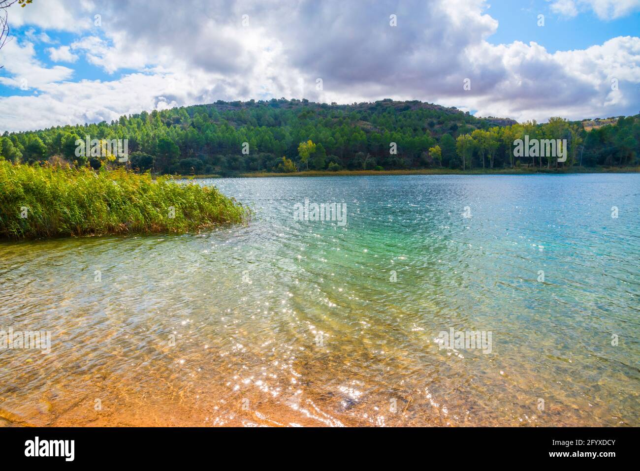 Mancha de color de agua hi-res stock photography and images - Alamy