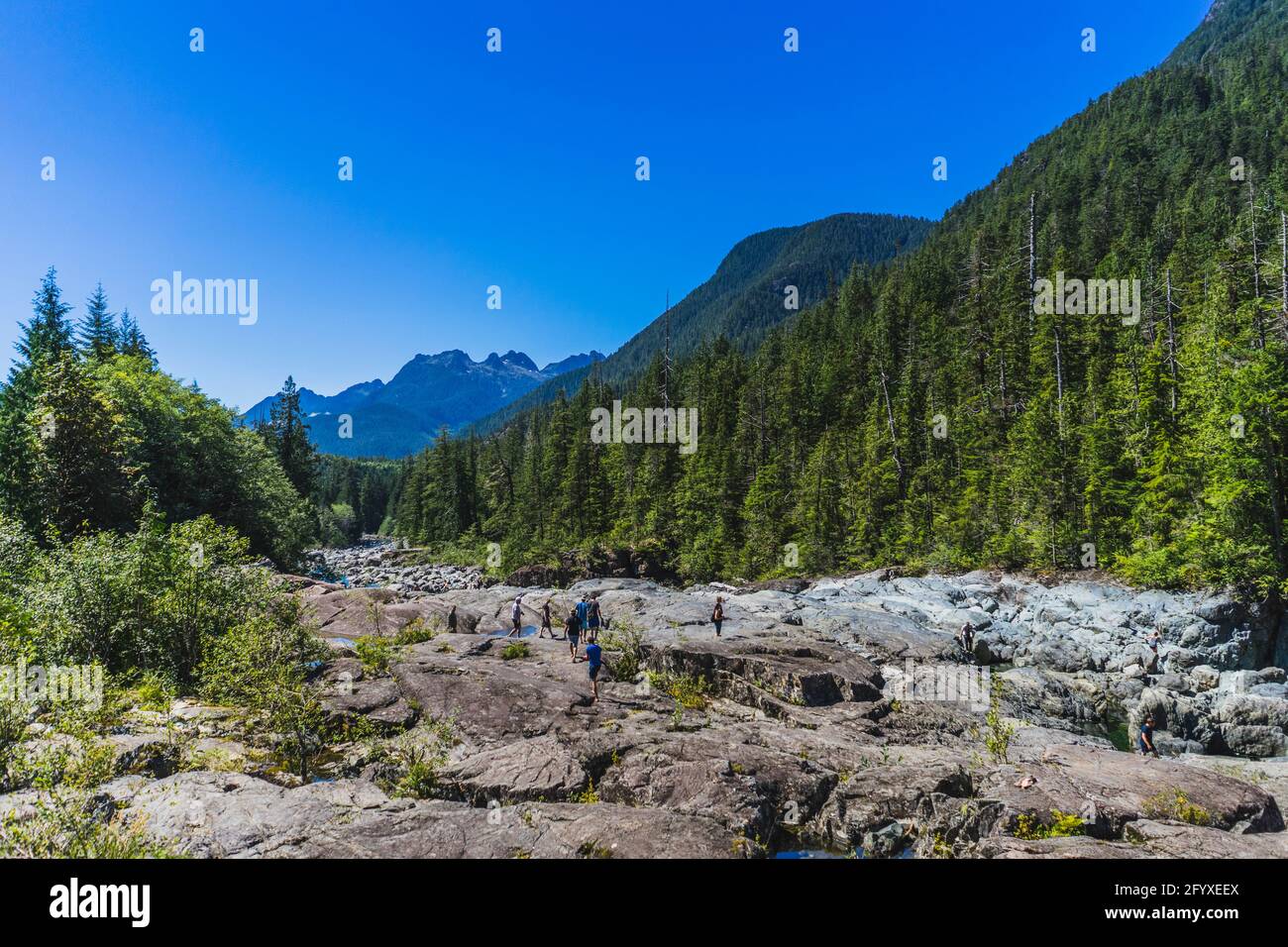 Pacific rim highway canada hi-res stock photography and images - Alamy