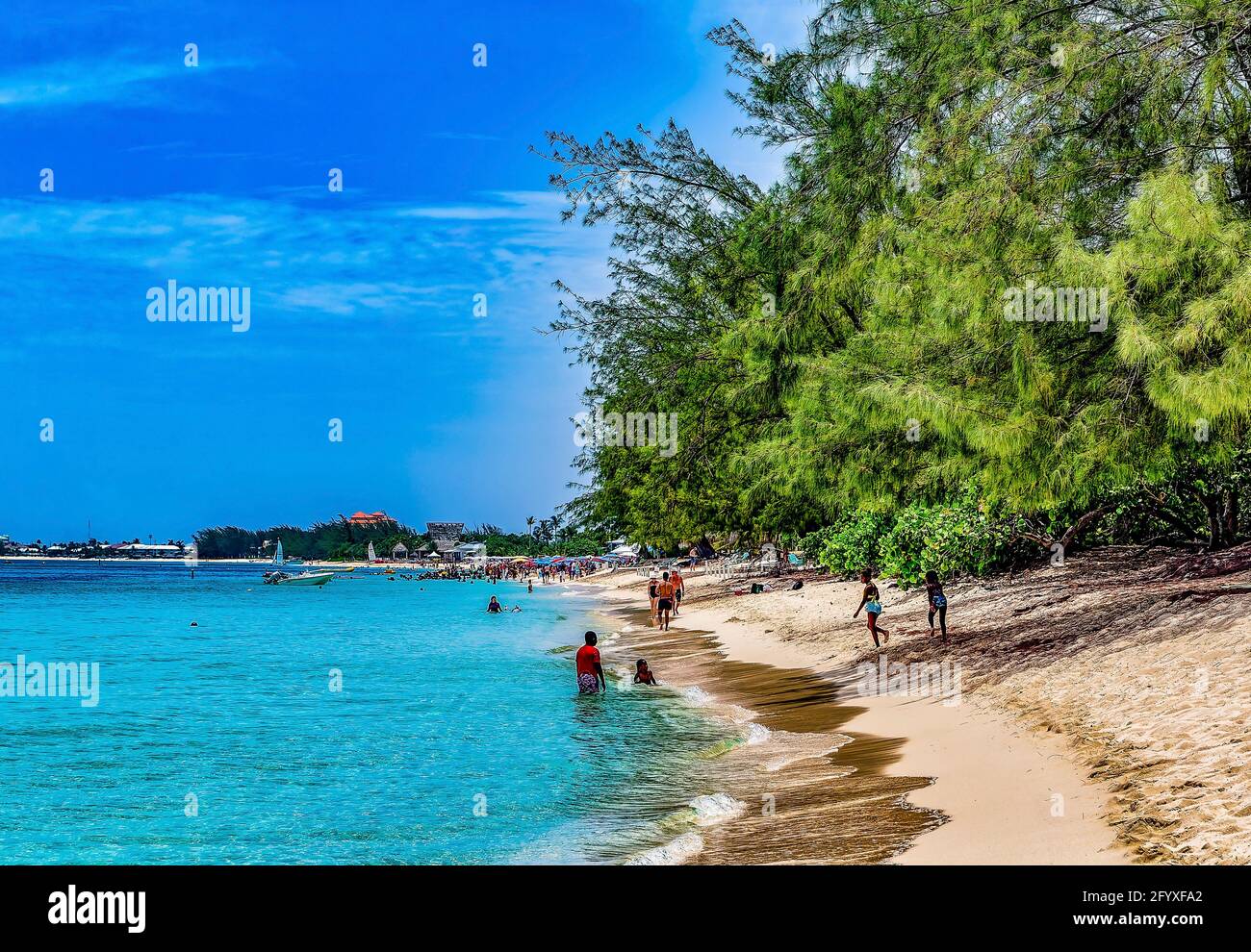 People walk along a Caribbean beach under a huge beach tree Stock Photo ...