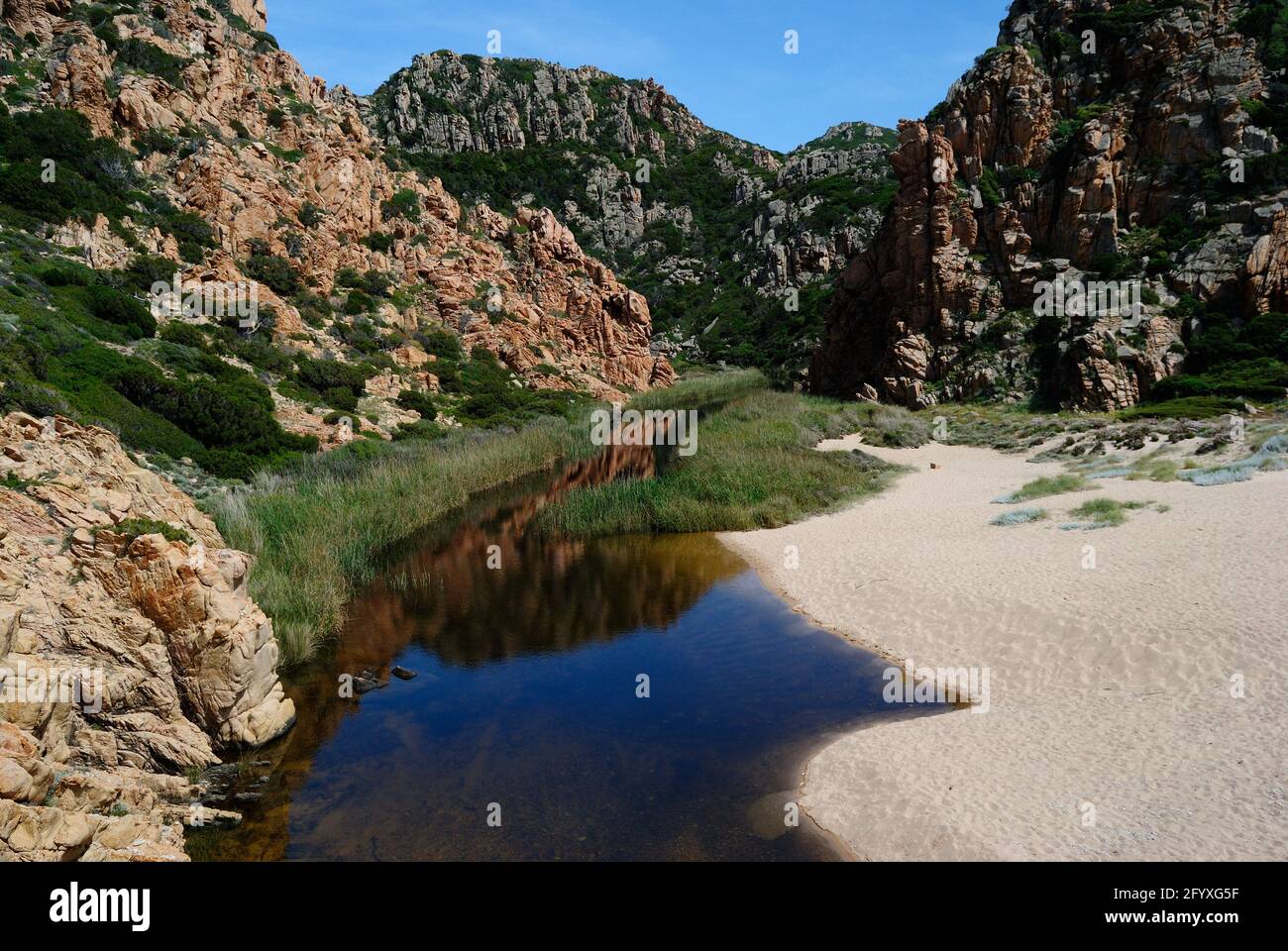View of Li Cossi beach Stock Photo - Alamy