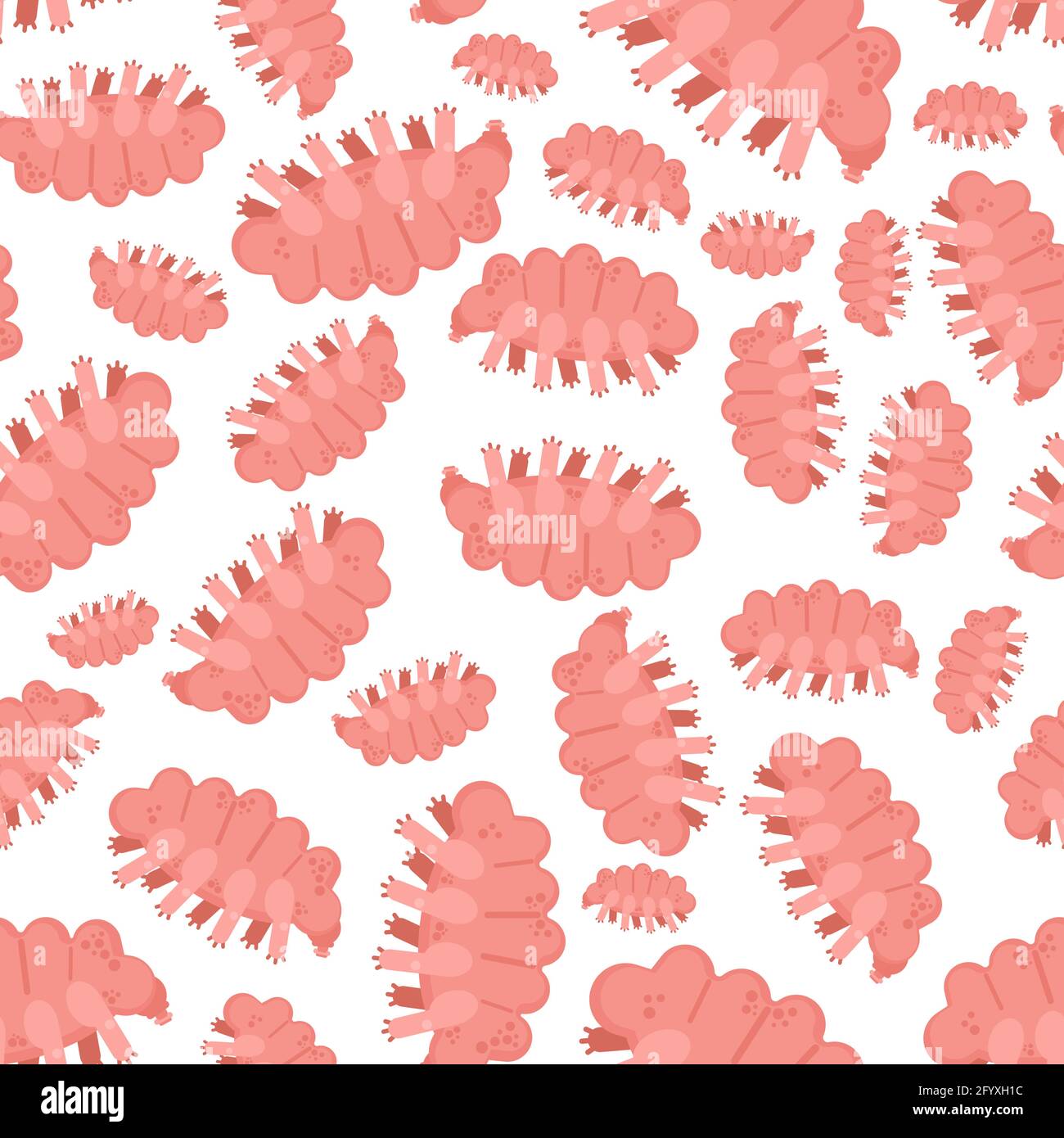 Tardigrada pattern seamless. type of microscopic invertebrate ...