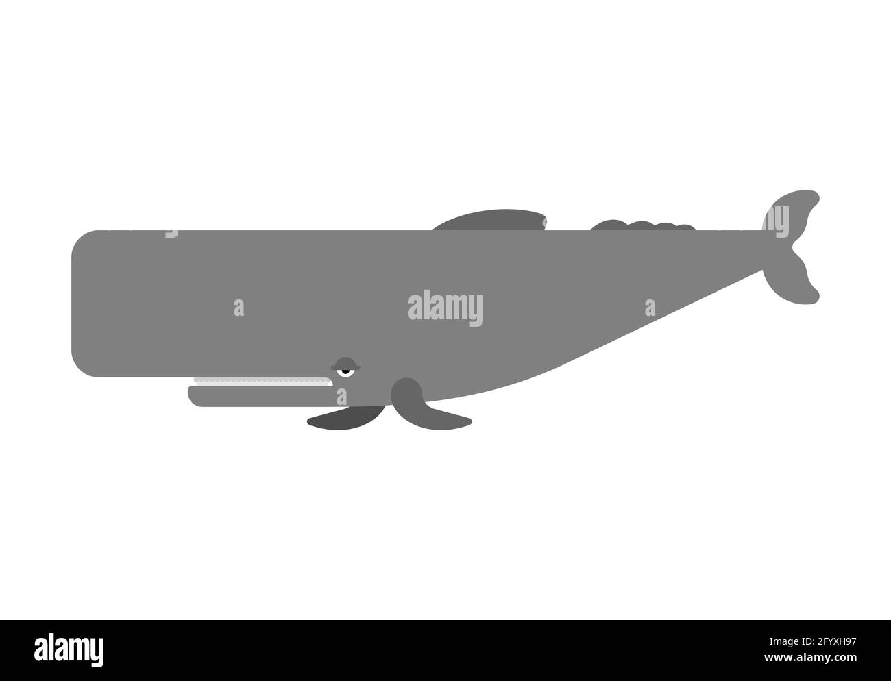 Sperm whale isolated. cachalot big whale vector illustration Stock ...