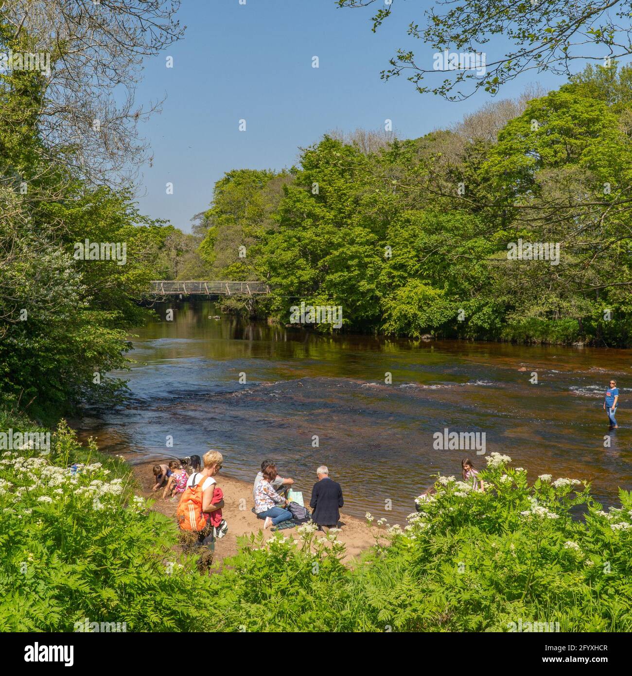 Edzell area hi-res stock photography and images - Alamy