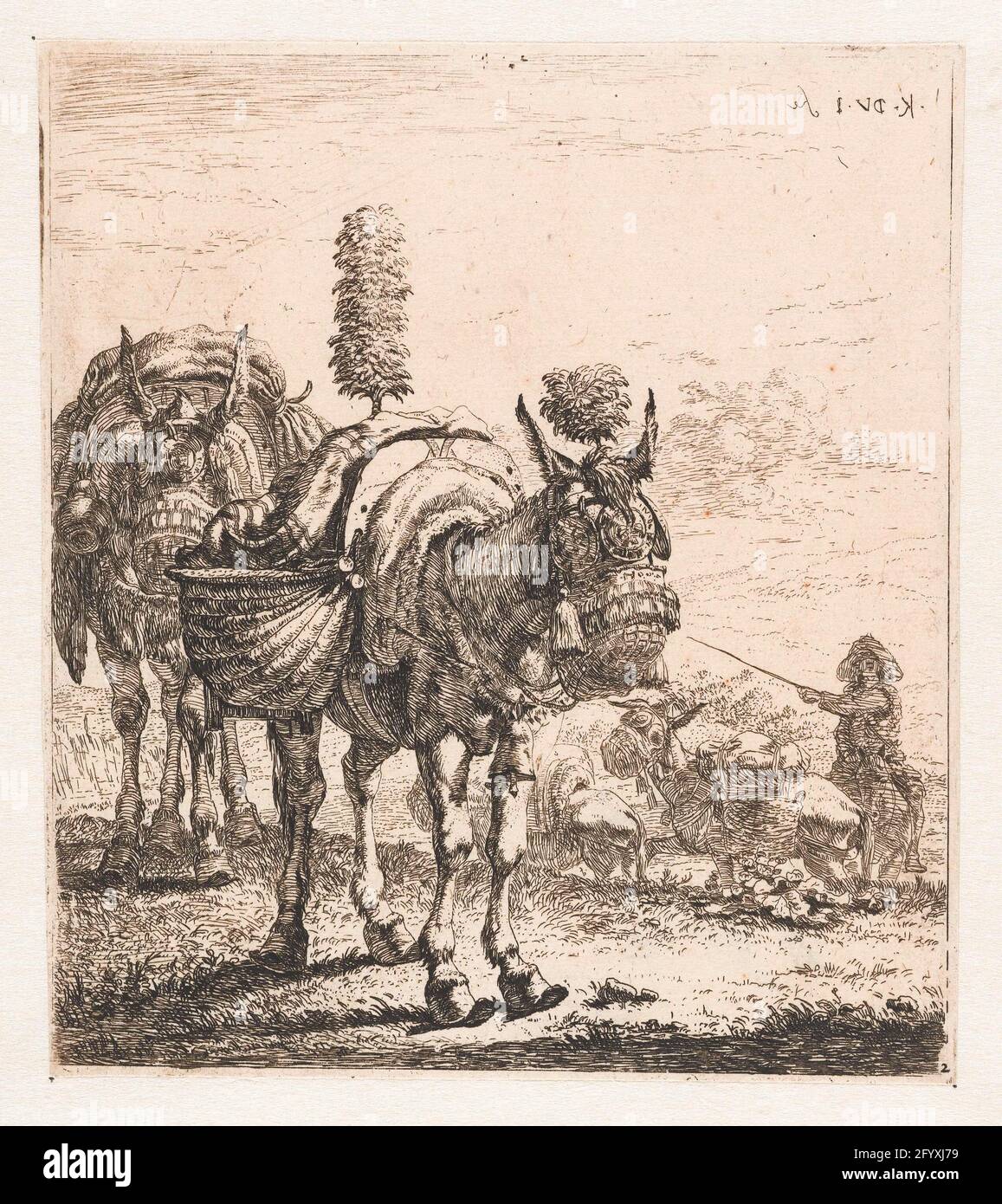 Two mules; Animals Stock Photo - Alamy