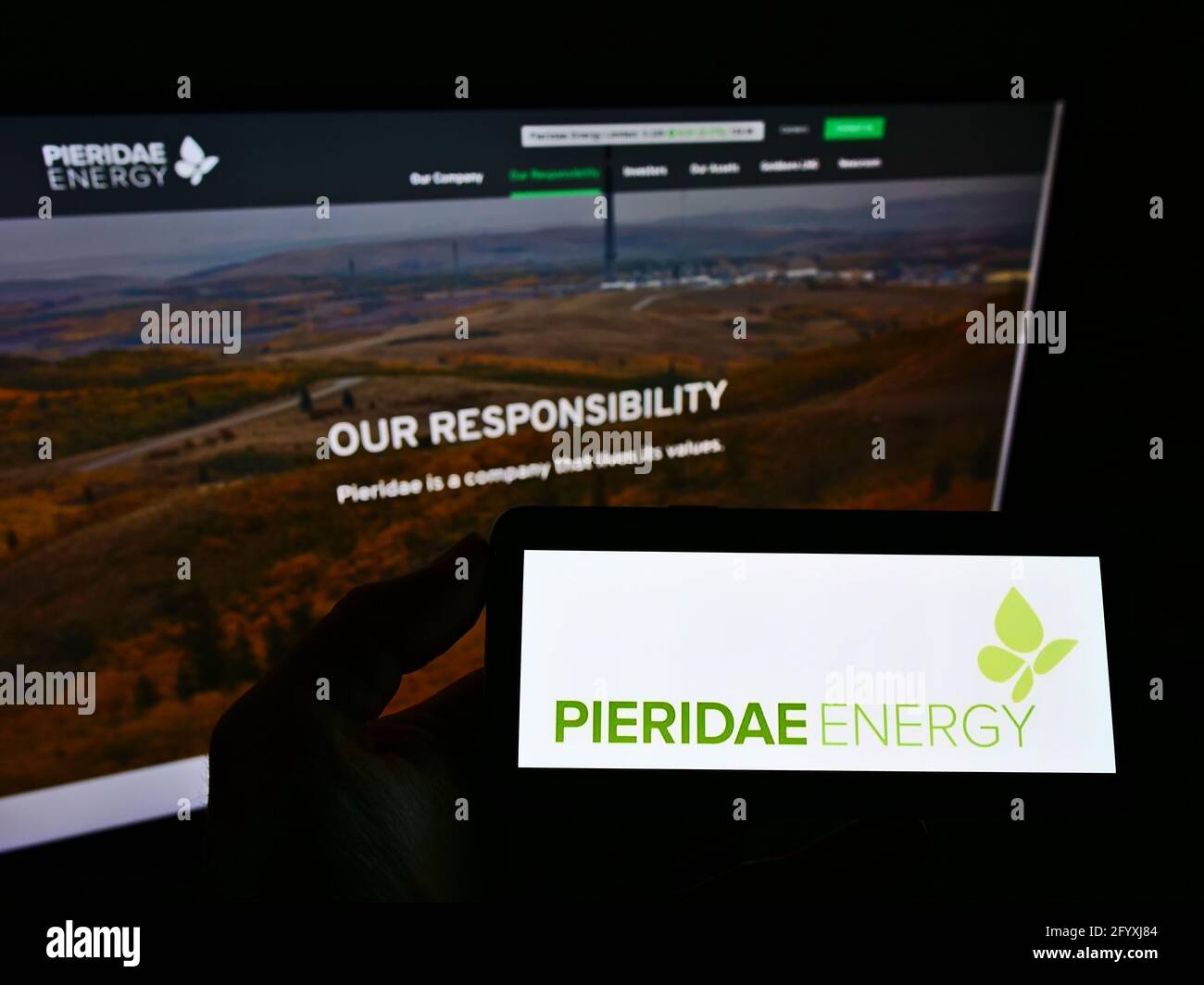 Pieridae hi-res stock photography and images - Alamy